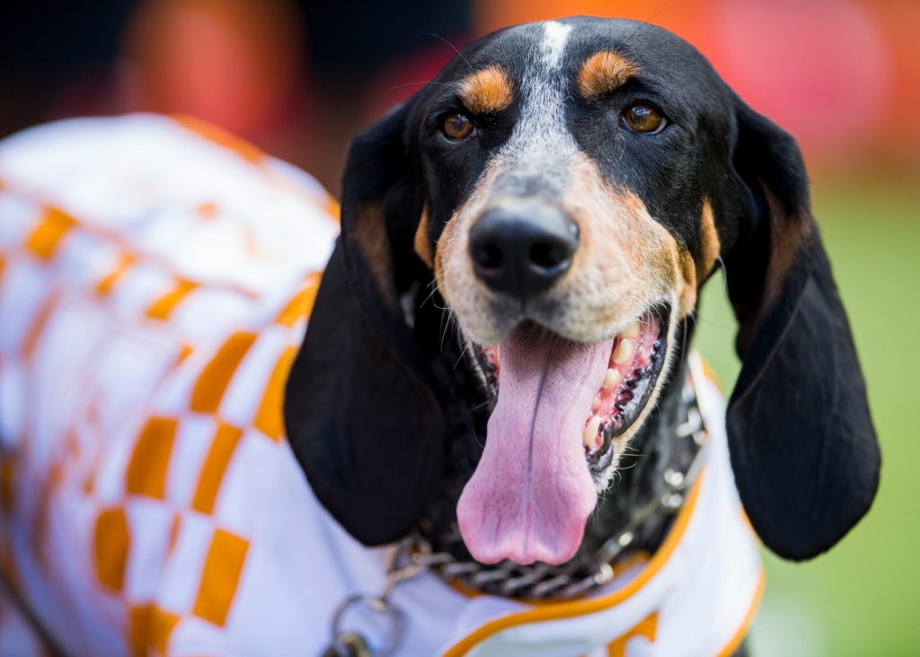 Tennessee Vols Football Traditions, Nickname and Mascot